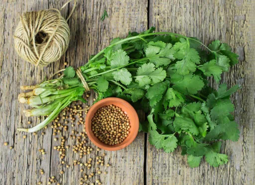 15 Mediterranean Herbs, Spices & Seasonings Every Cook Needs - Medmunch