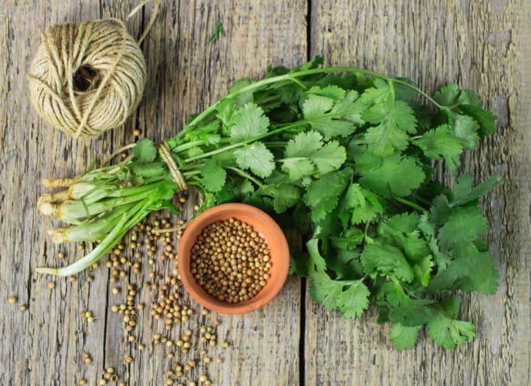 15 Mediterranean Herbs, Spices & Seasonings Every Cook Needs - Medmunch