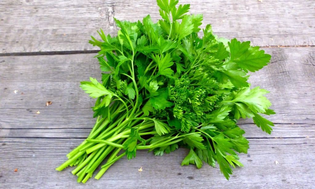 15 Mediterranean Herbs, Spices & Seasonings Every Cook Needs - Medmunch