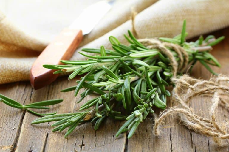 15 Mediterranean Herbs, Spices & Seasonings Every Cook Needs - Medmunch