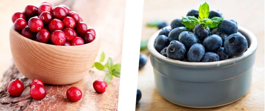 Cranberry vs Blueberry: Which is Healthier? - Medmunch