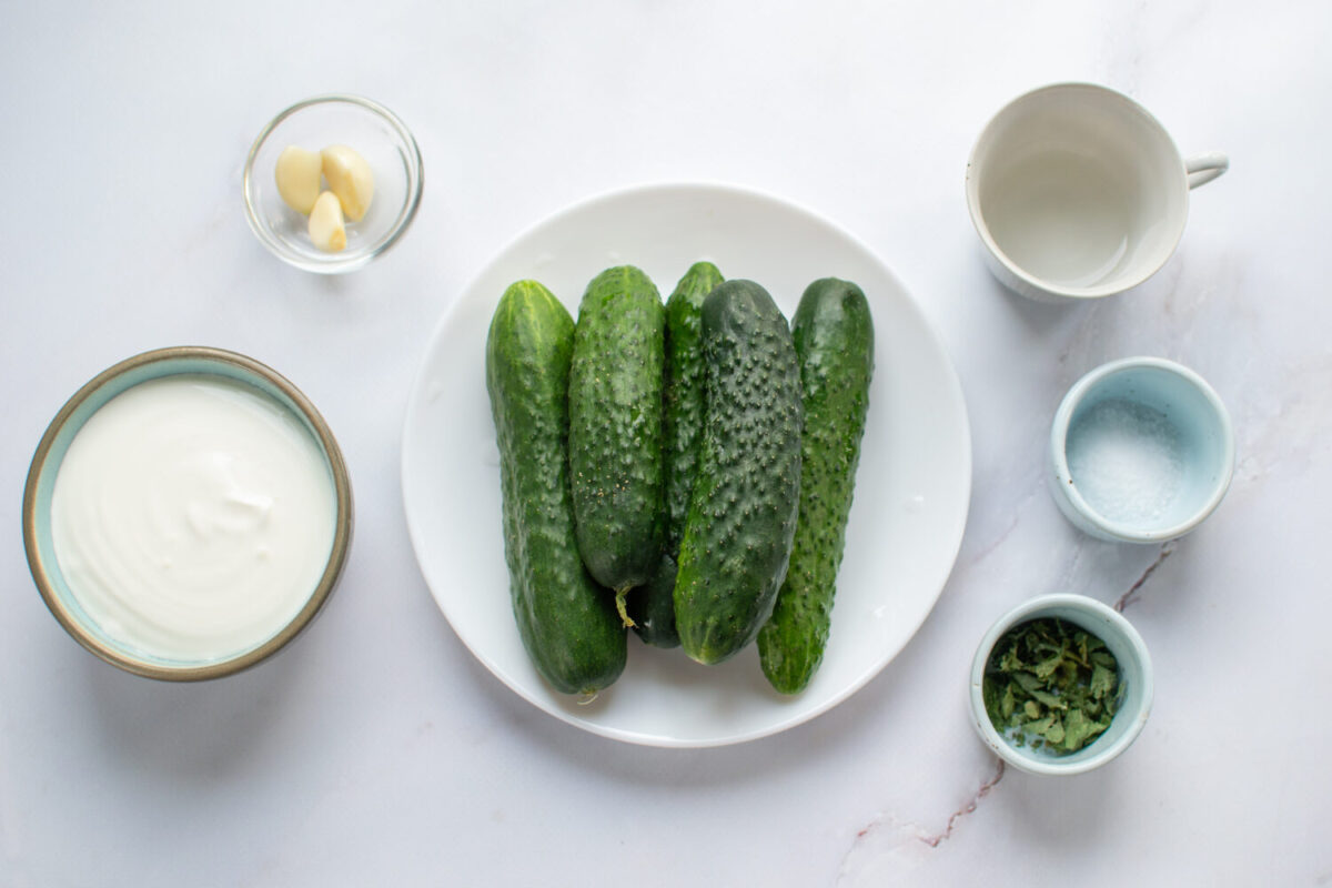Lebanese Cucumber Yogurt Salad (Khyar Bi Laban) - Medmunch
