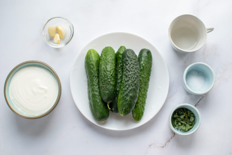 Lebanese Cucumber Yogurt Salad (Khyar Bi Laban) - Medmunch